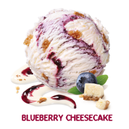 Blueberry Cheesecake