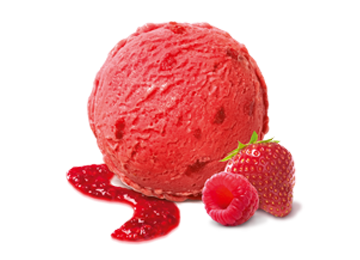 Raspberry & Strawberry Sorbet